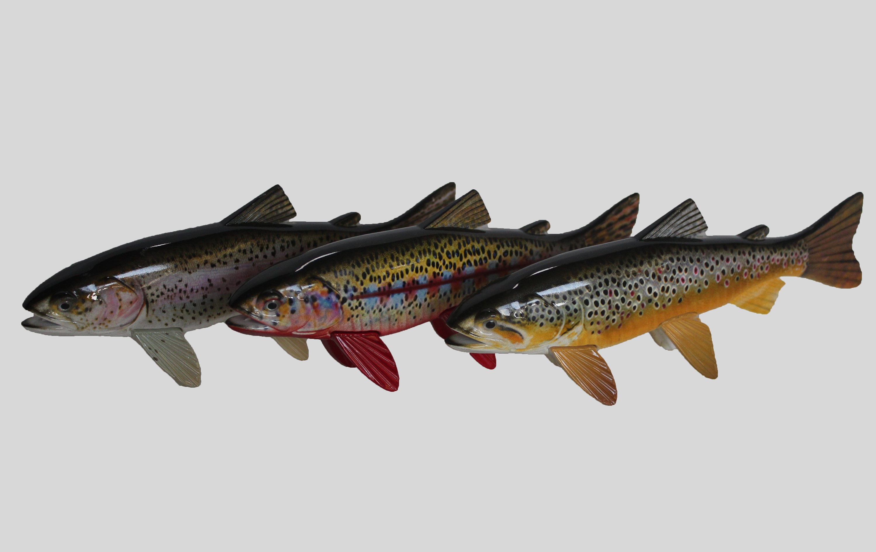 Realistic Trout 3 Pack rainbow Brown and Golden - Etsy