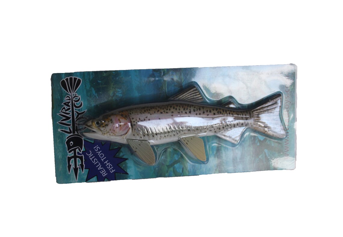 Realistic Rainbow Trout Replica - Etsy