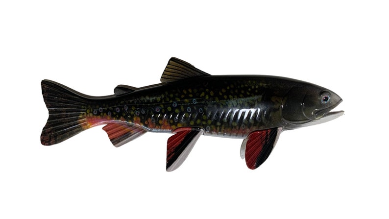 Realistic Brook Trout Replica - Etsy