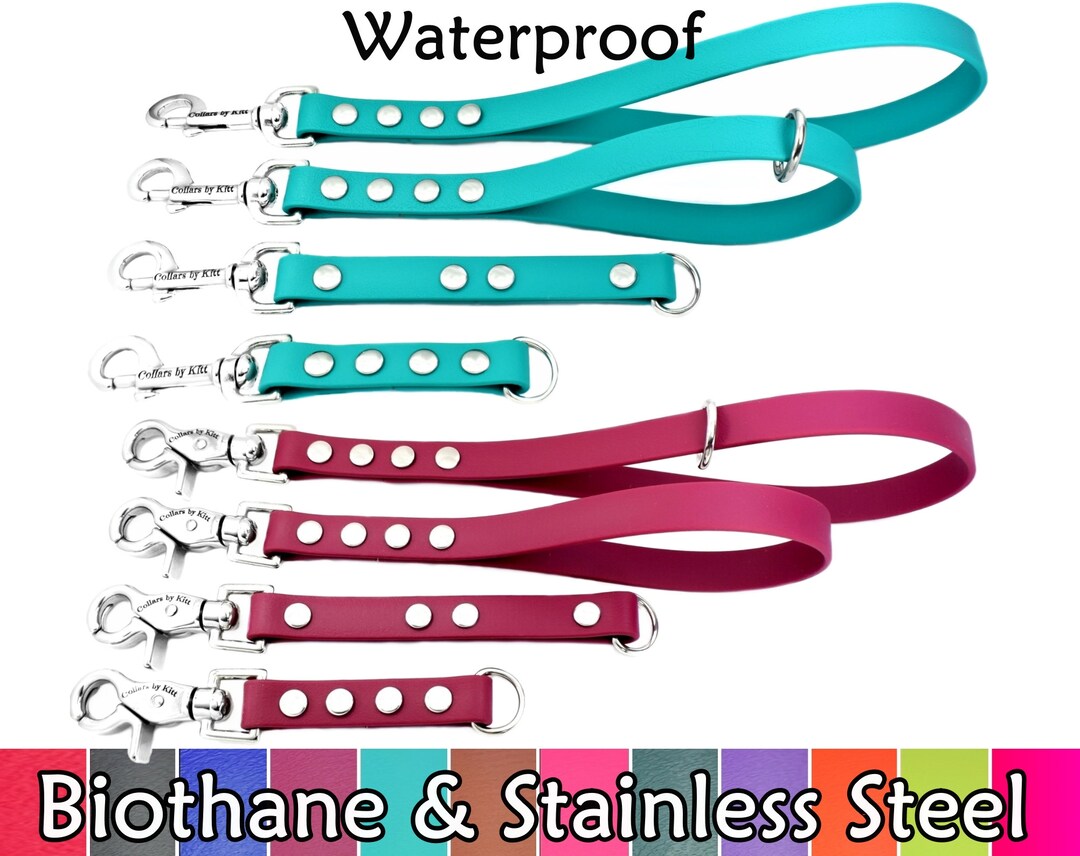 Traffic Dog Leash, Training Tab, Short Leash, Leash Extender, Biothane ...