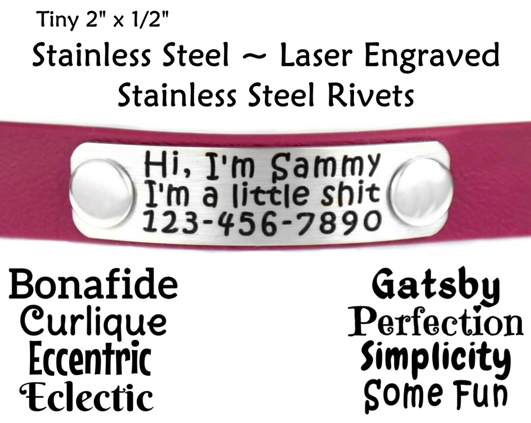 Collar Name Plate, Tiny Personalized Name Plate, 316 Stainless Rivet on ...