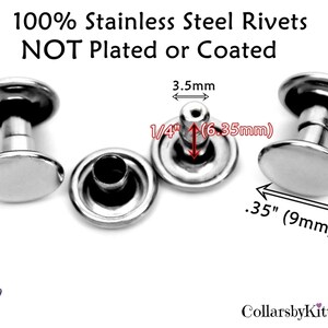 Dog Collar Name Plate, Rivet On, Large, 316 Stainless Steel Name Plate ...