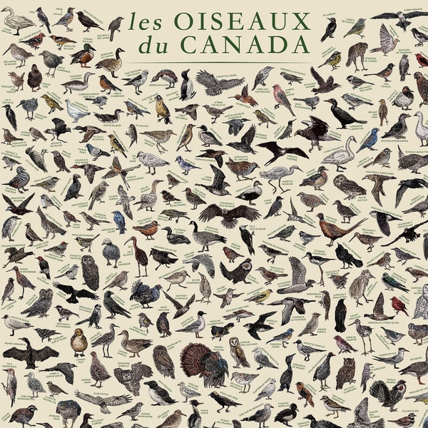 Canadian Wildlife - Etsy