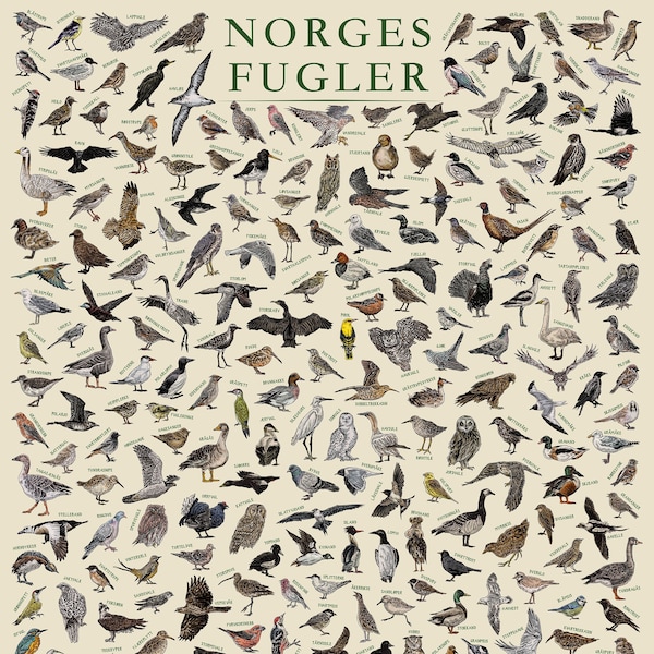 Fuglers - Etsy