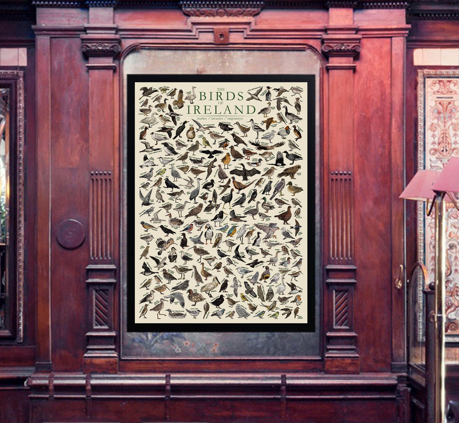 The Birds of Ireland Hand-illustrated / Irish Wildlife | Etsy