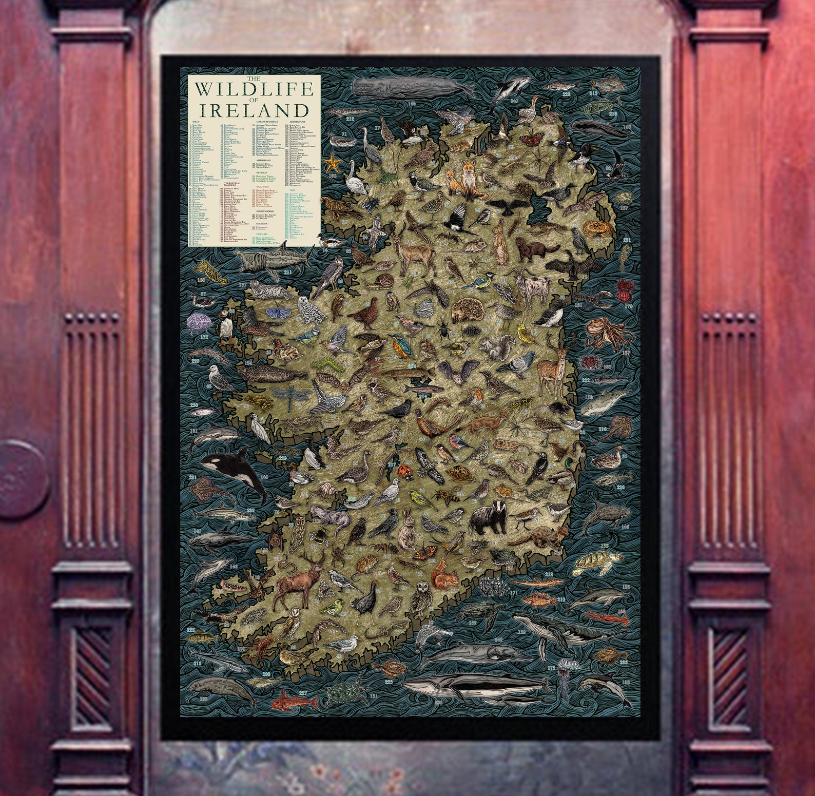 Wildlife of Ireland Map / Hand-illustrated Educational Poster - Etsy