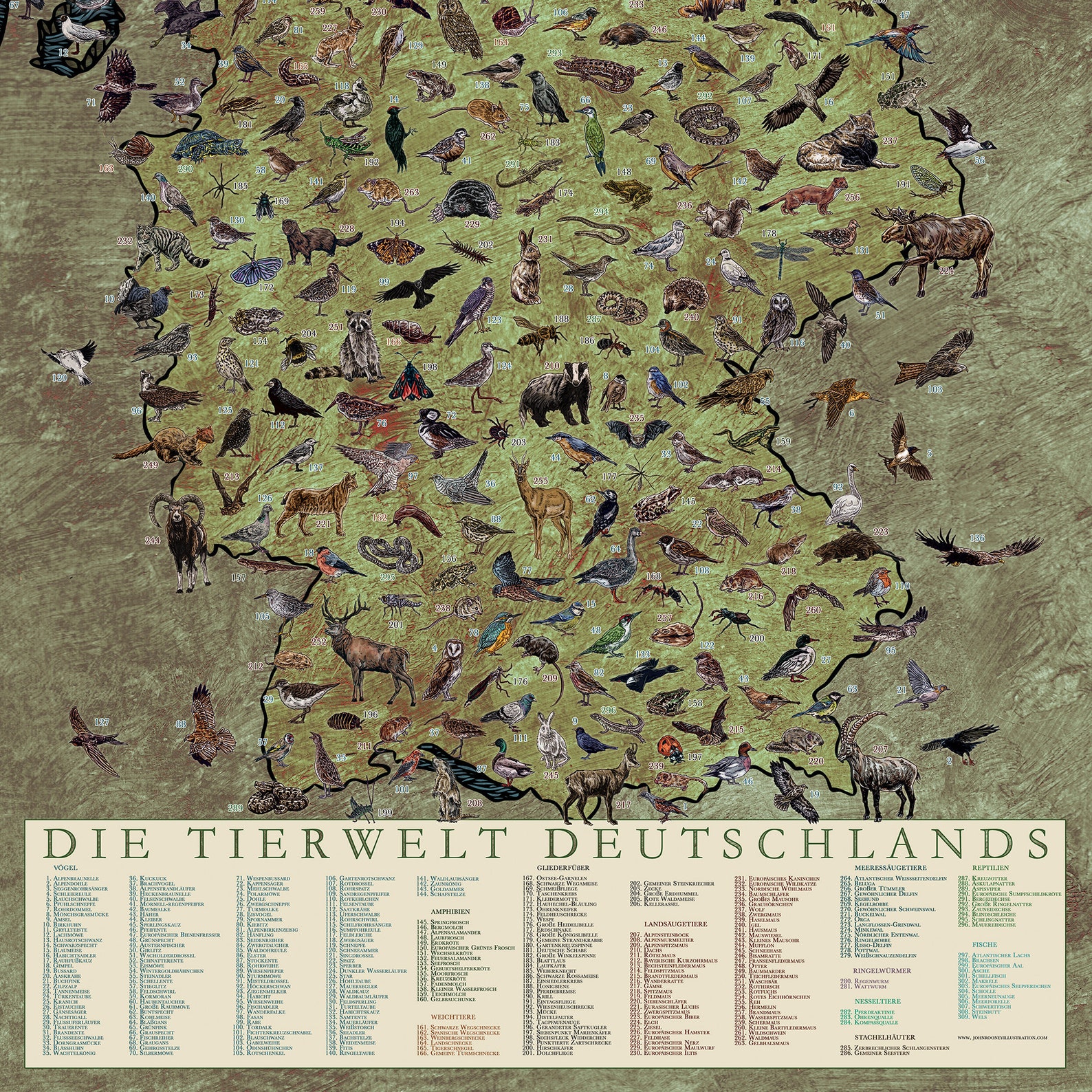 Wildlife of Germany Map / Die Tierwelt Deutschlands - Hand-illustrated ...