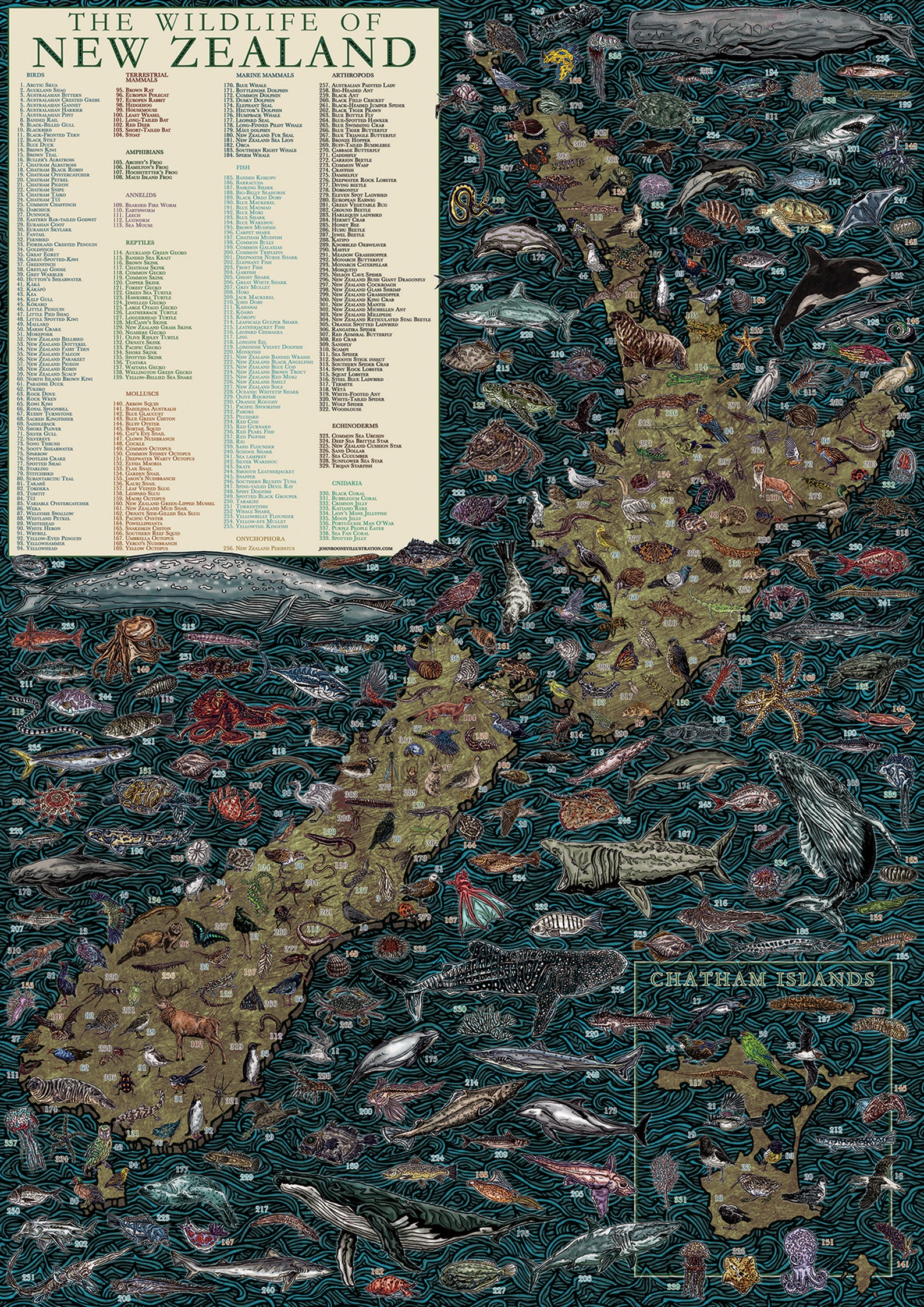 Wildlife of New Zealand Map / Hand-illustrated Educational Poster / Map ...