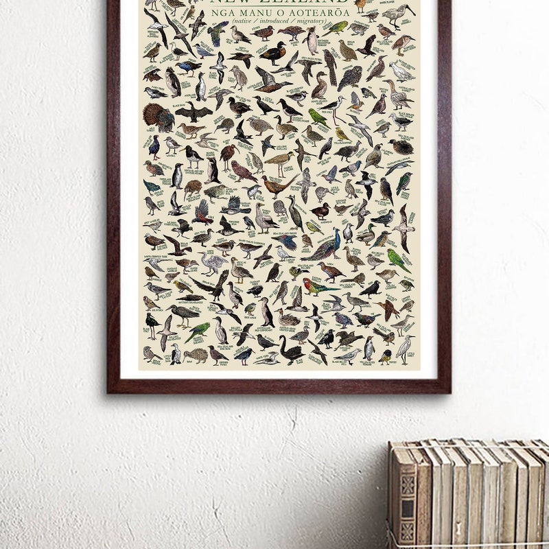 Kiwi Bird Art Print - Etsy