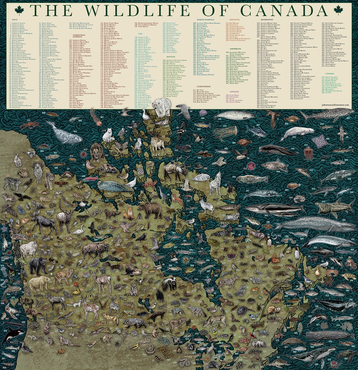 Wildlife of Canada Map - Hand-illustrated Educational Poster Art Print ...
