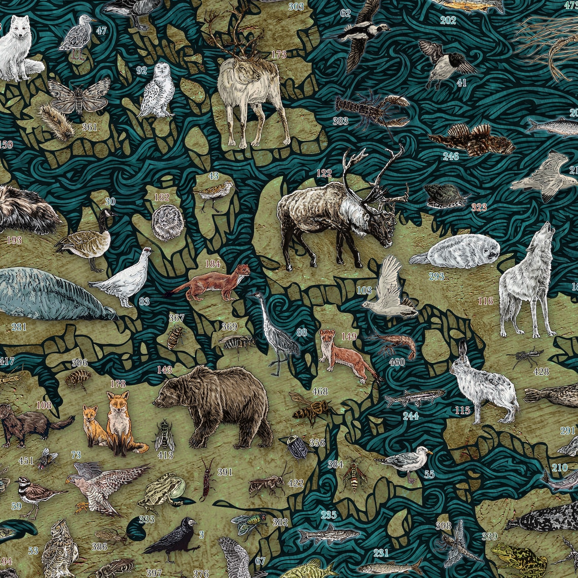 Wildlife of Canada Map Hand-illustrated Educational Poster | Etsy
