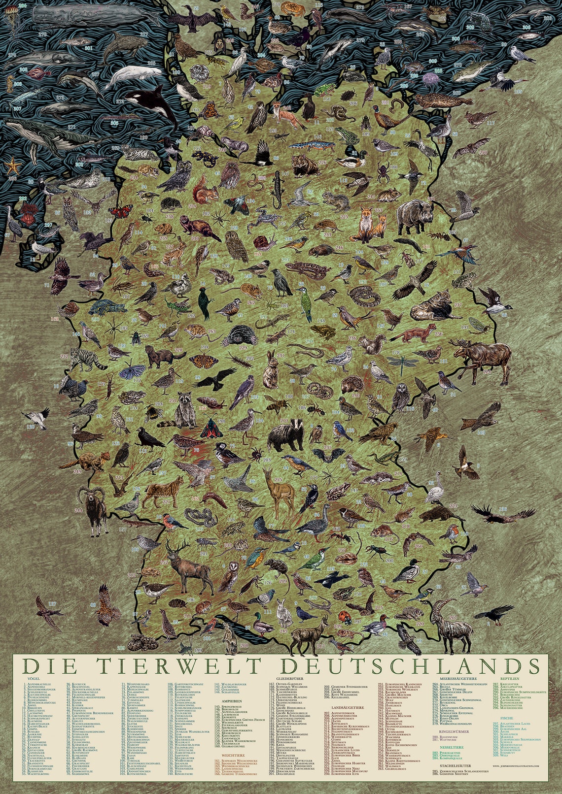 Wildlife of Germany Map / Die Tierwelt Deutschlands - Hand-illustrated ...