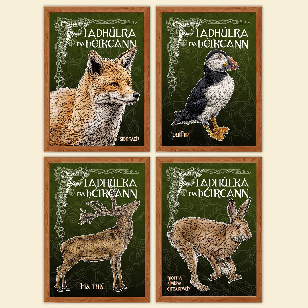Irish Wildlife Art Prints: Red Fox, Puffin, Deer, Hare - Gaeilge Set - Etsy