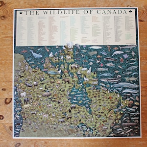 Wildlife of Canada Map - Hand-illustrated Educational Poster Art Print ...