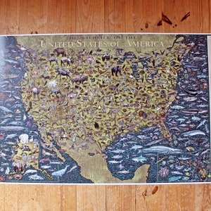 The Wildlife of USA Map - Hand-illustrated Educational Poster Art Print ...