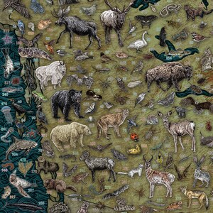 Wildlife of Canada Map - Hand-illustrated Educational Poster Art Print ...