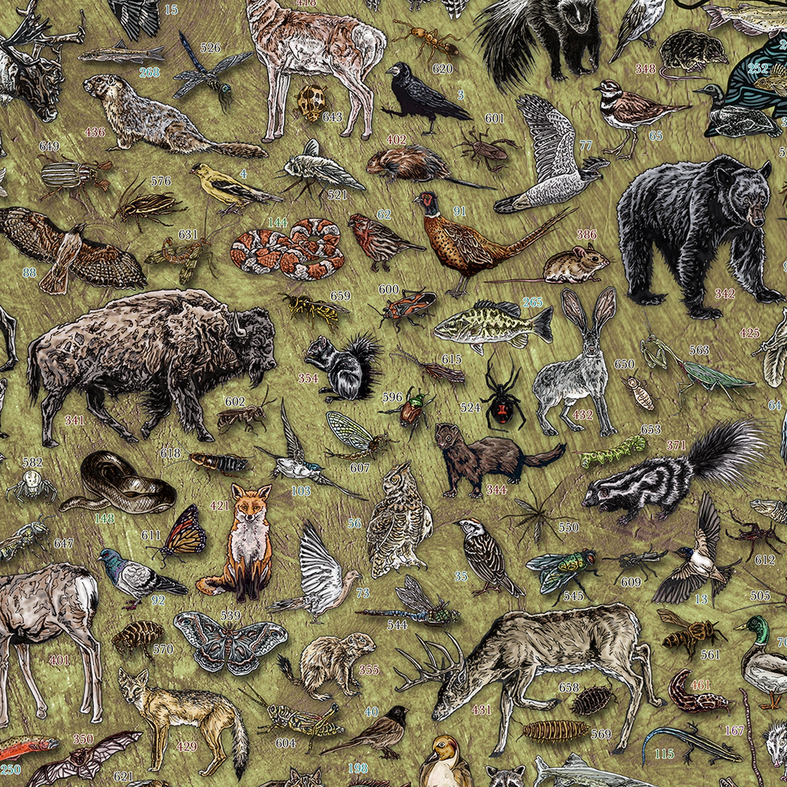 The Wildlife of USA Map Hand-illustrated Educational Poster - Etsy