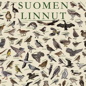 The Birds of Finland (suomen Linnut) - Hand-illustrated / Finish ...