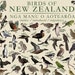 The Birds of New Zealand Hand-illustrated / Kiwi Wildlife Educational ...
