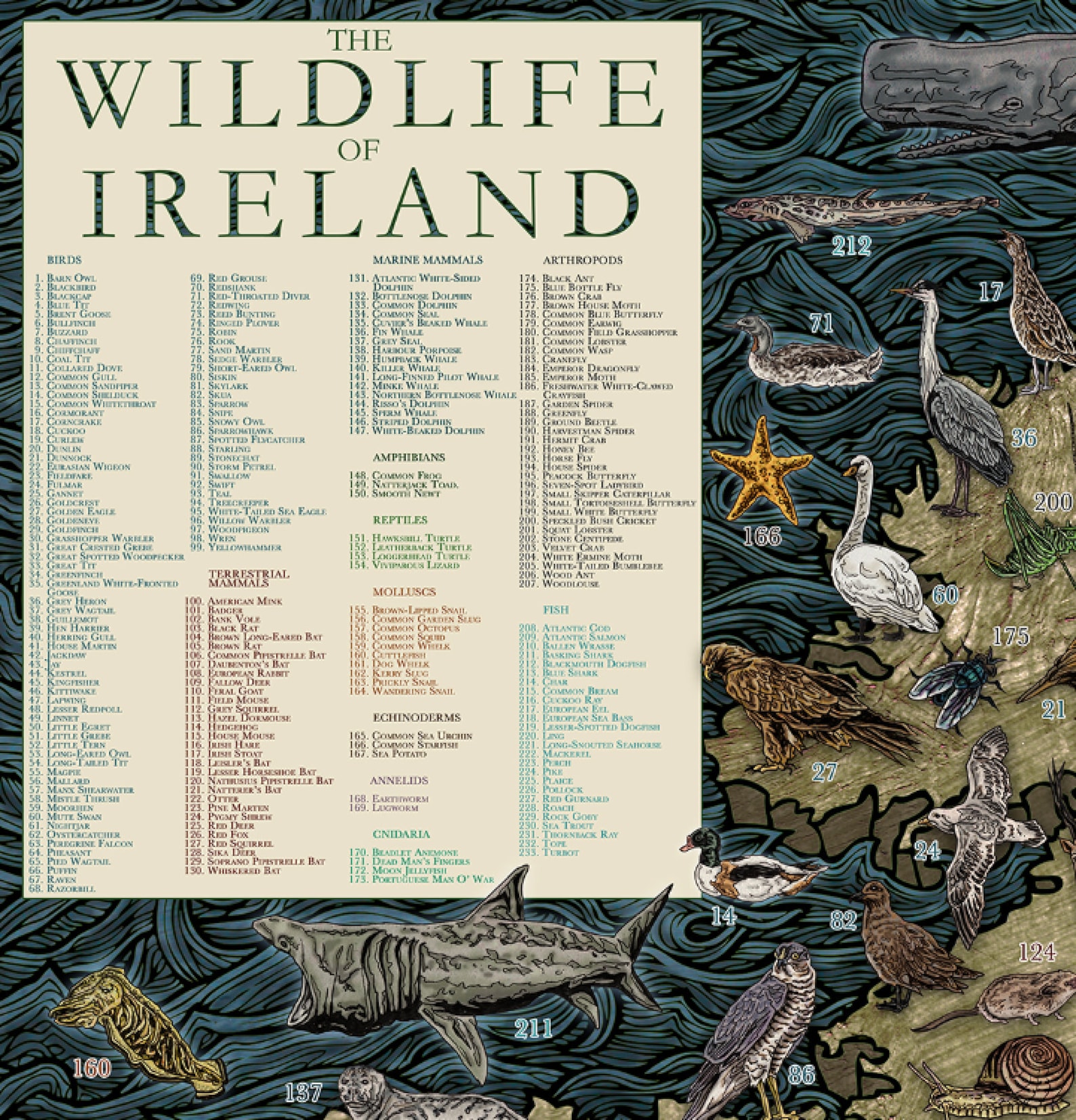 Wildlife of Ireland Map / Hand-illustrated Educational Poster - Etsy