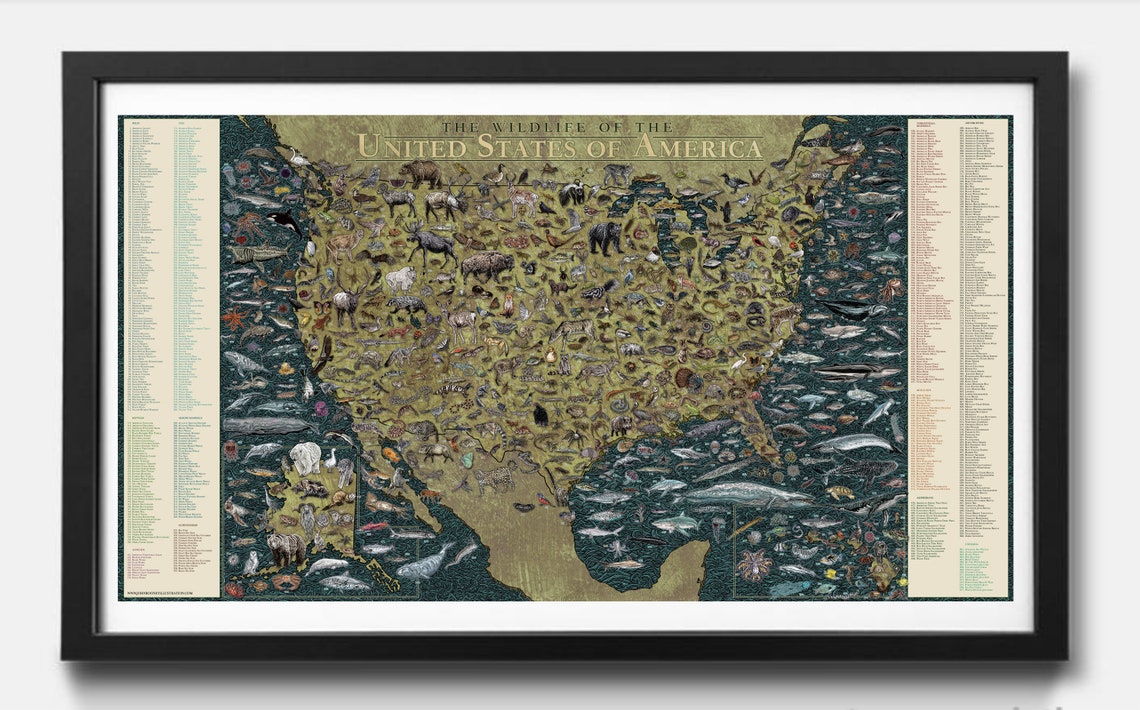 The Wildlife of USA Map Hand-illustrated Educational Poster - Etsy