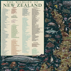Wildlife of New Zealand Map / Hand-illustrated Educational Poster / Map ...