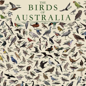 The Birds of Australia - Hand-illustrated / Wildlife Educational Poster ...