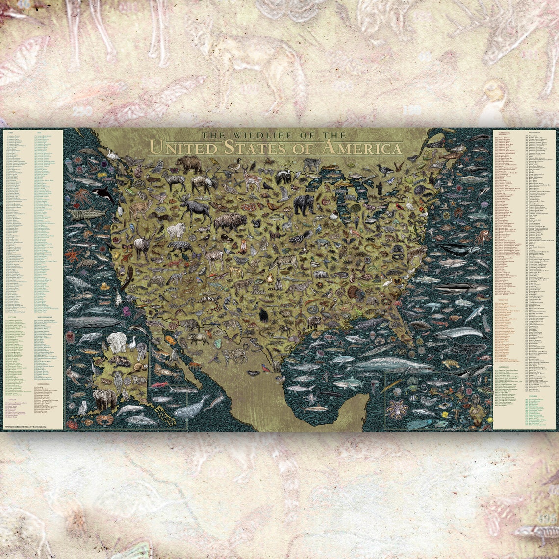 The Wildlife of USA Map Hand-illustrated Educational Poster - Etsy