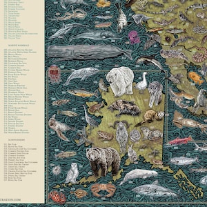 The Wildlife of USA Map - Hand-illustrated Educational Poster Art Print ...