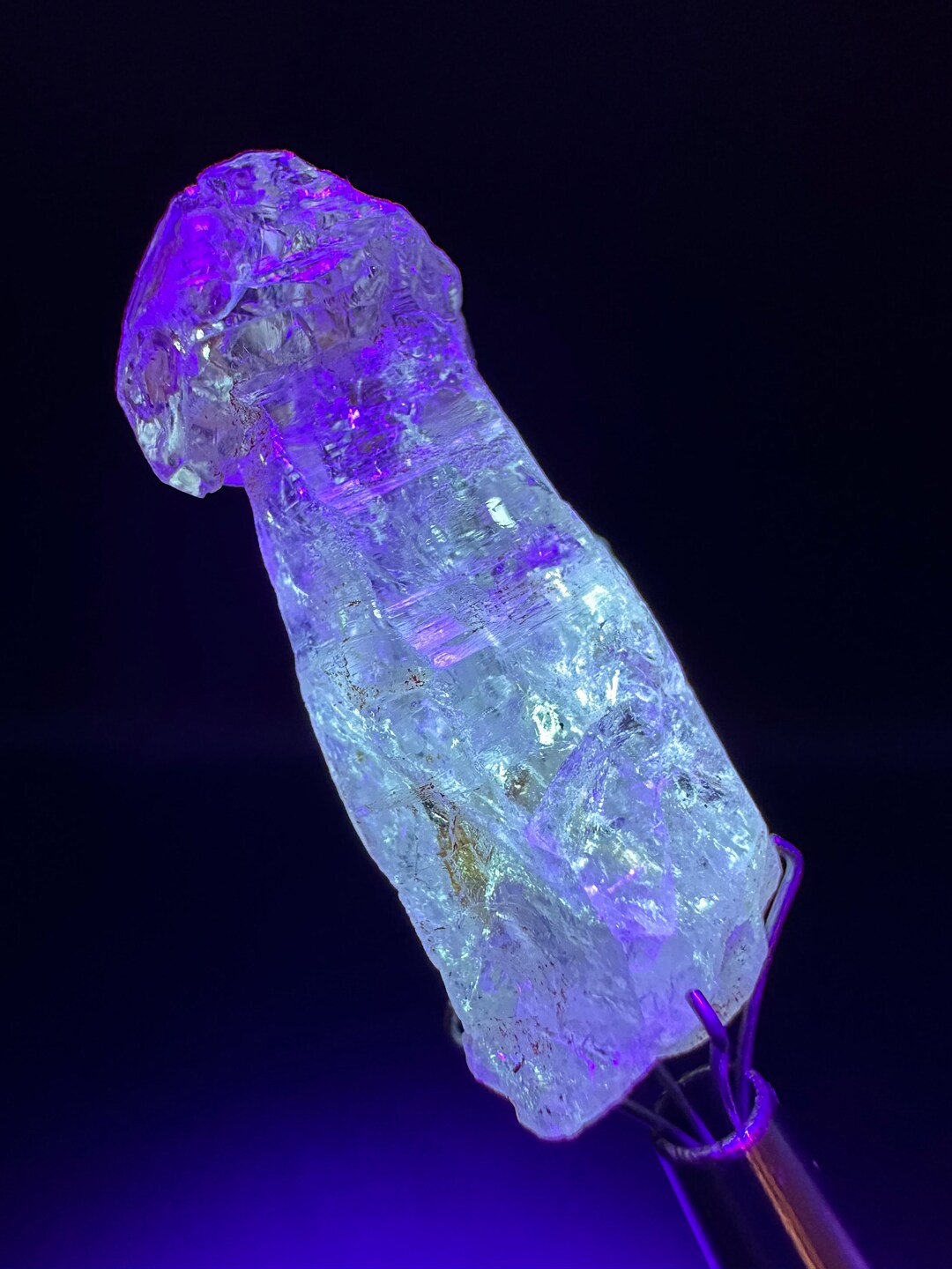 Golden Enhydro SCEPTER Petroleum Quartz Fluorescent UV Reactive ...