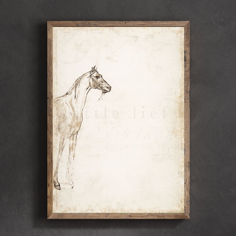 Horse Illustration Printable Vintage Art Printable Wall Art | Etsy