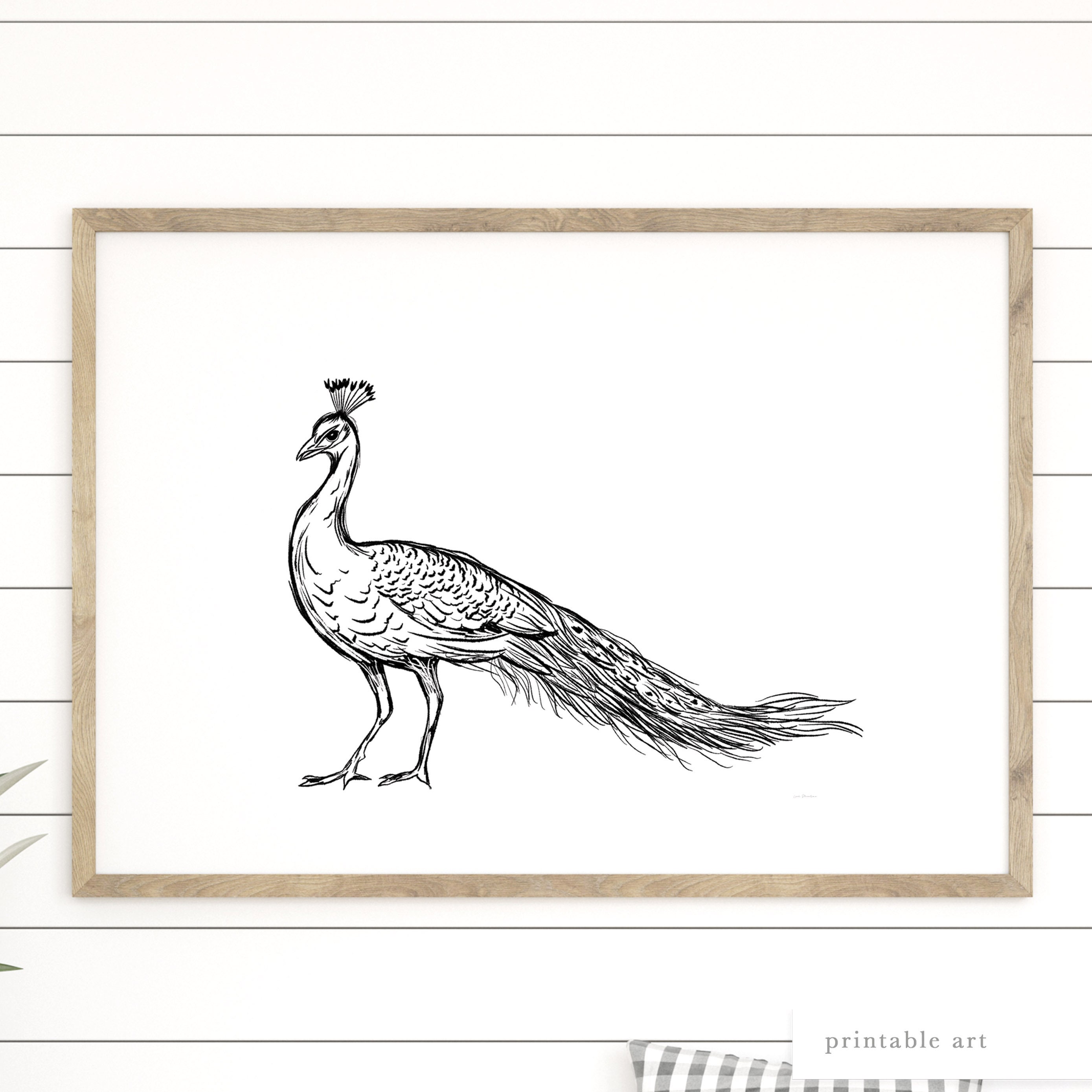 Peacock Art Print, Printable Wall Art, Black White Print, Minimalist ...