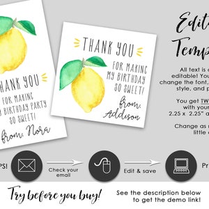 Printable Main Squeeze Lemon Birthday Party Favor Gift Tag - EDITABLE ...
