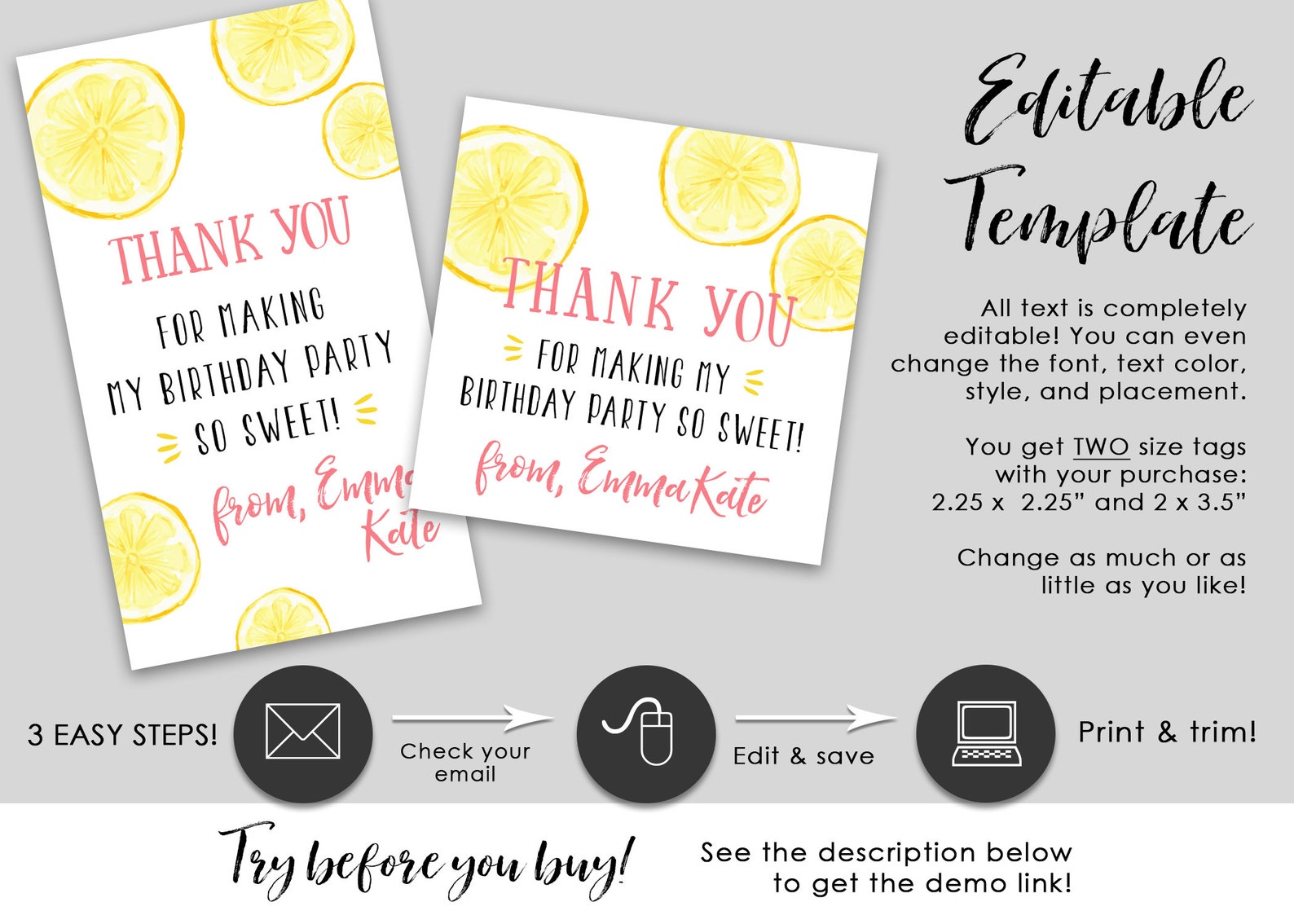 Printable Lemonade and Fun Birthday Party Favor Gift Tag EDITABLE ...