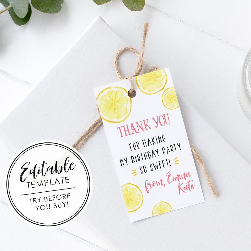Lemonade Party Favor - Etsy