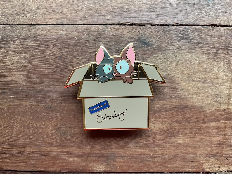 Jinx Schrodinger's Cat Hard Enamel Pin Cute and Quirky - Etsy