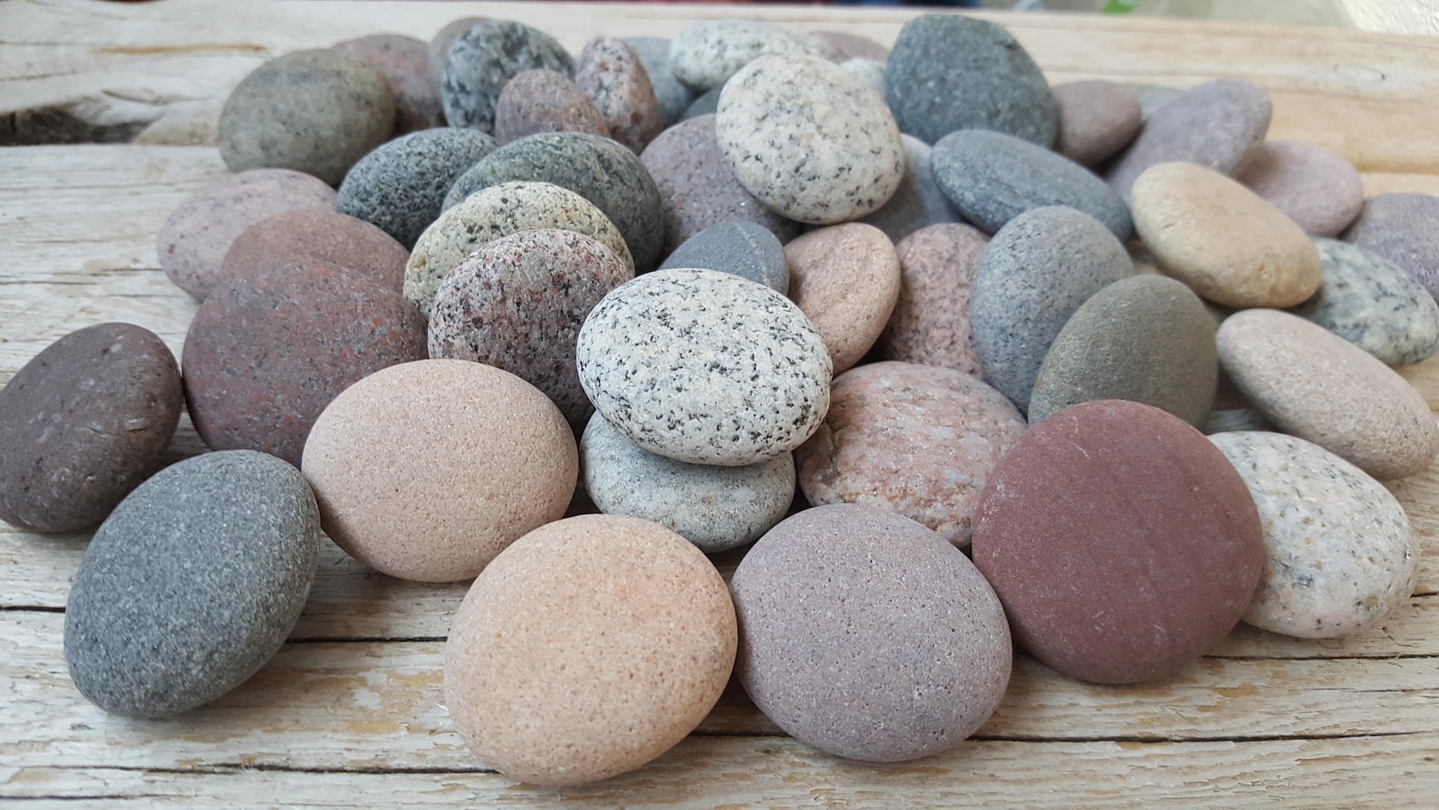 Round Sea Stones Medium Flat Stones 50 Pcs Medium Small | Etsy