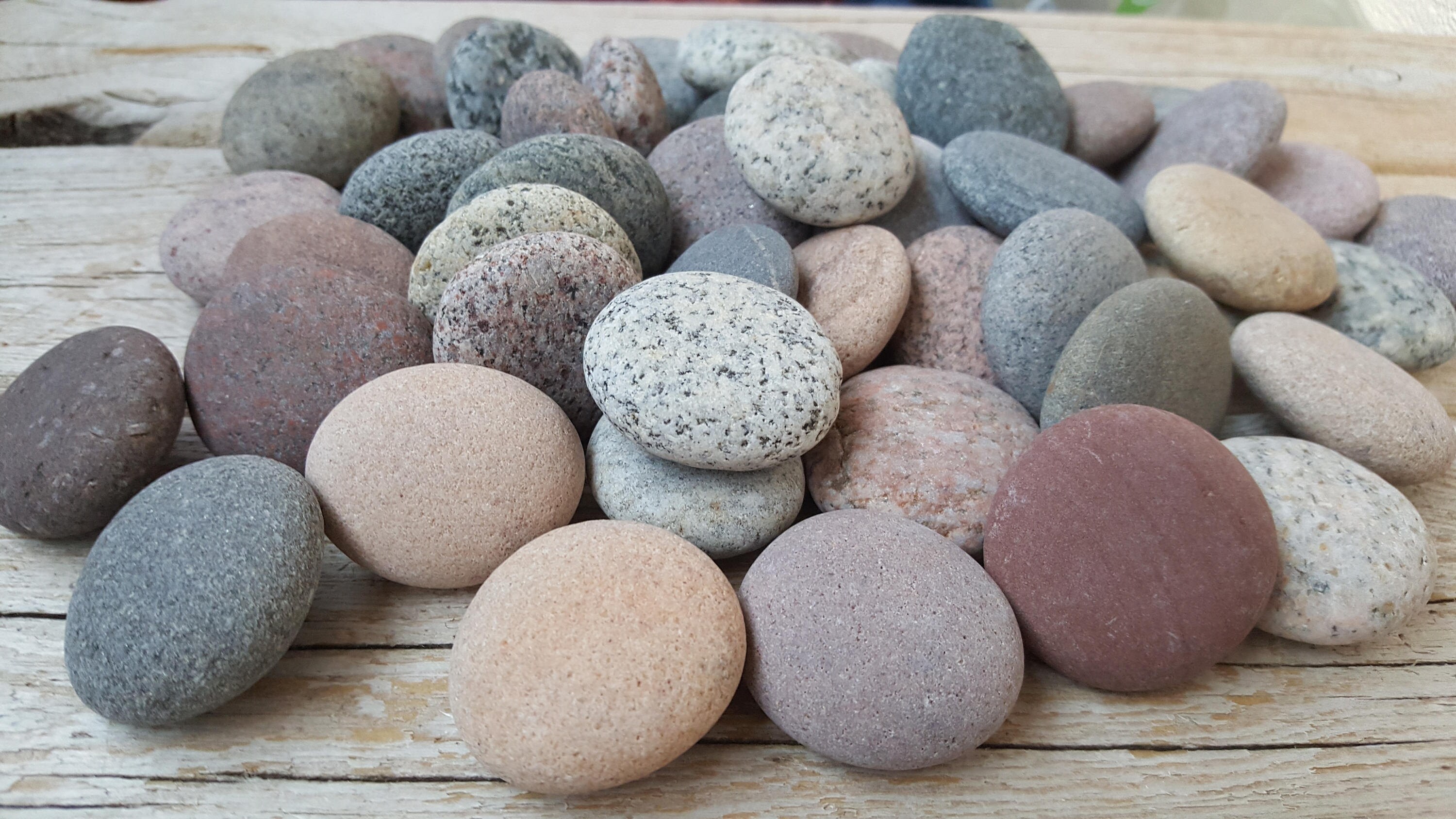 Round Sea Stones Medium Flat Stones 50 Pcs Medium Small - Etsy