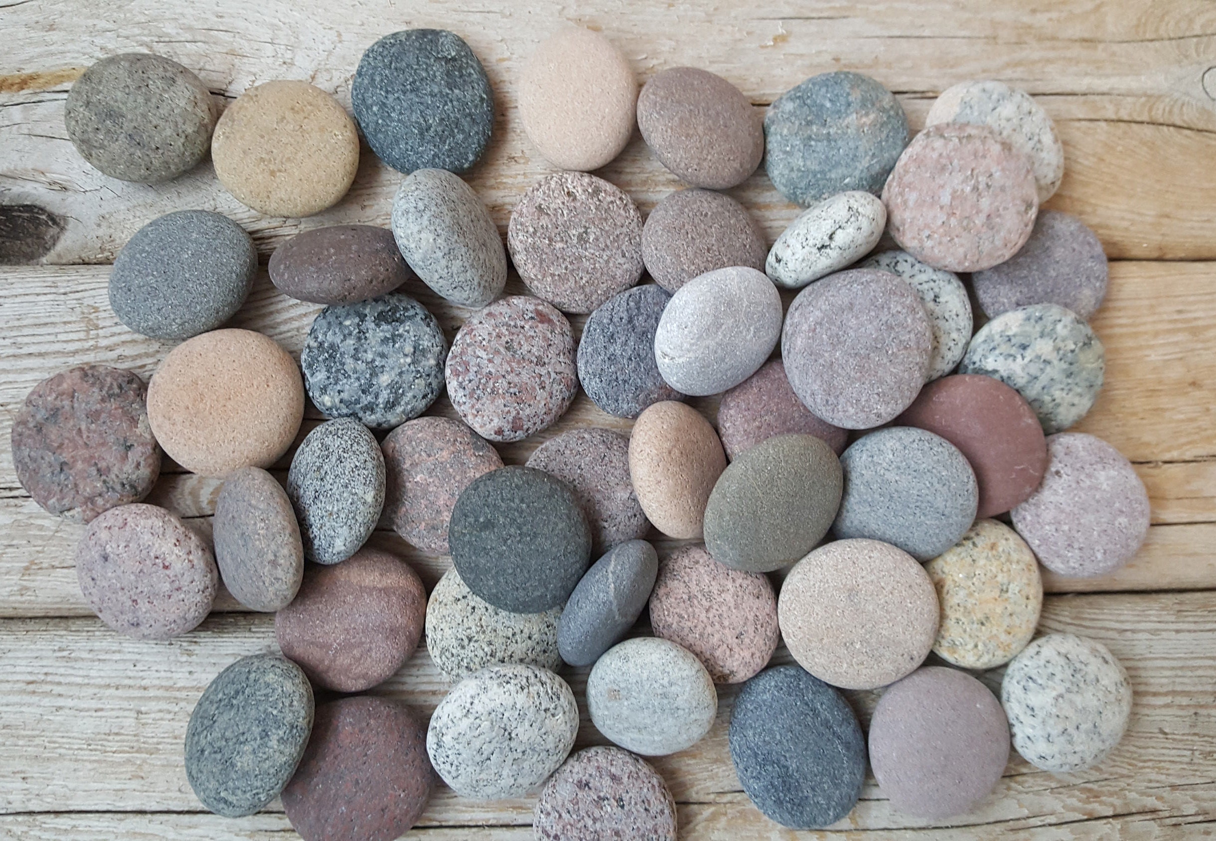 Round Sea Stones Medium Flat Stones 50 Pcs Medium Small - Etsy