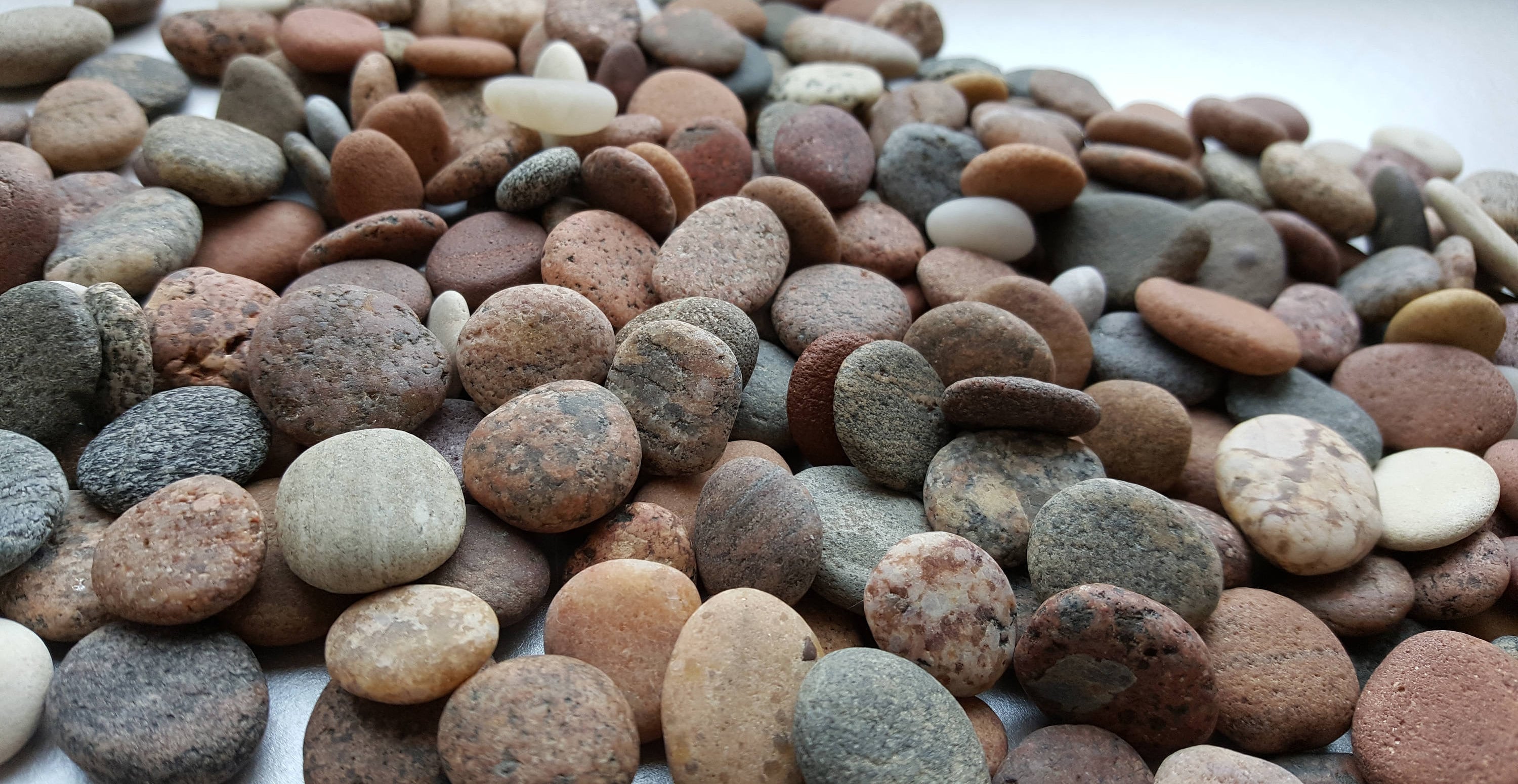 Round Sea Stones bulk 200 Pcs Small-baltic Beach Stones-sea - Etsy