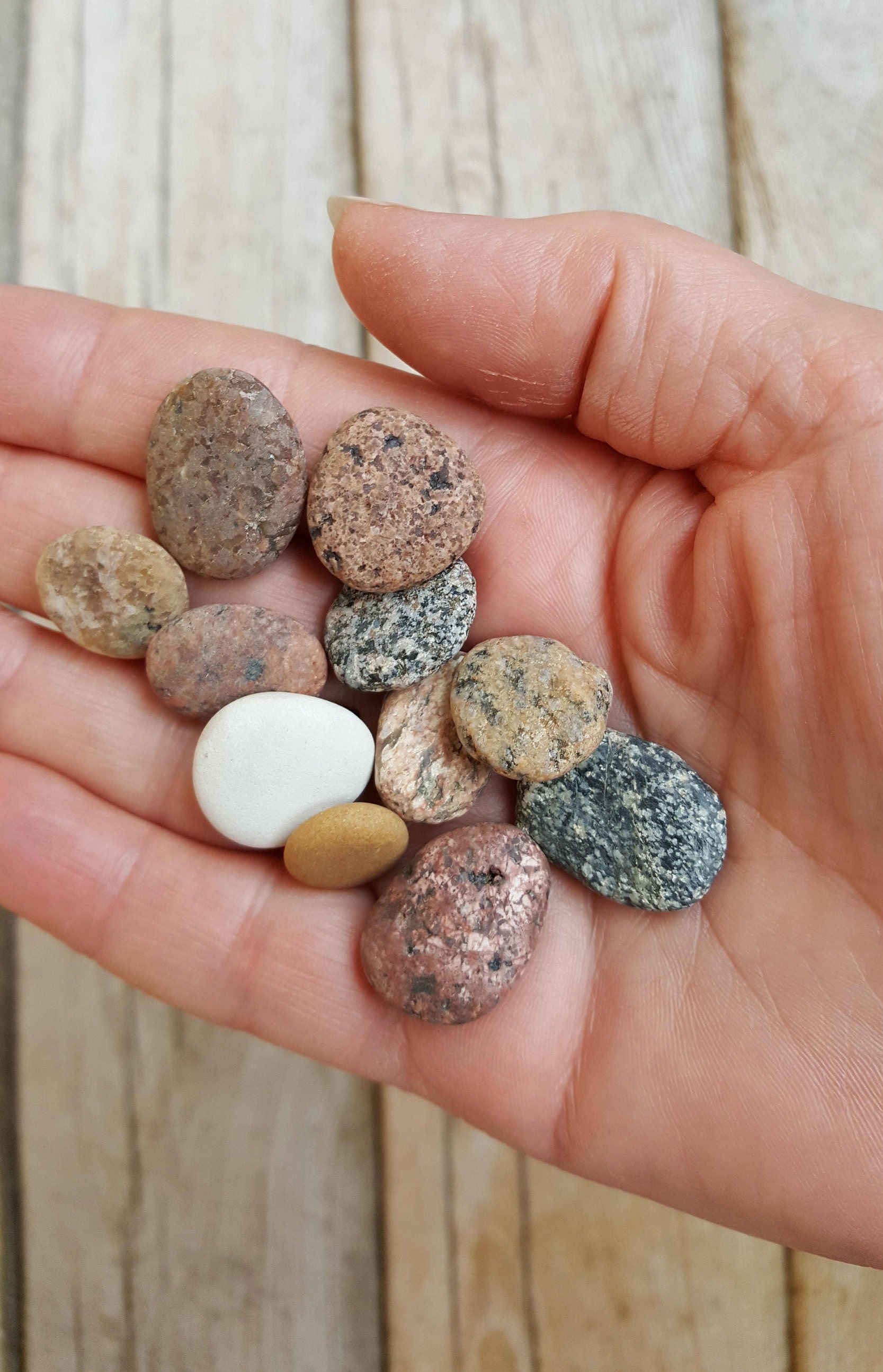 Round Sea Stones bulk 200 Pcs Small-baltic Beach Stones-sea - Etsy