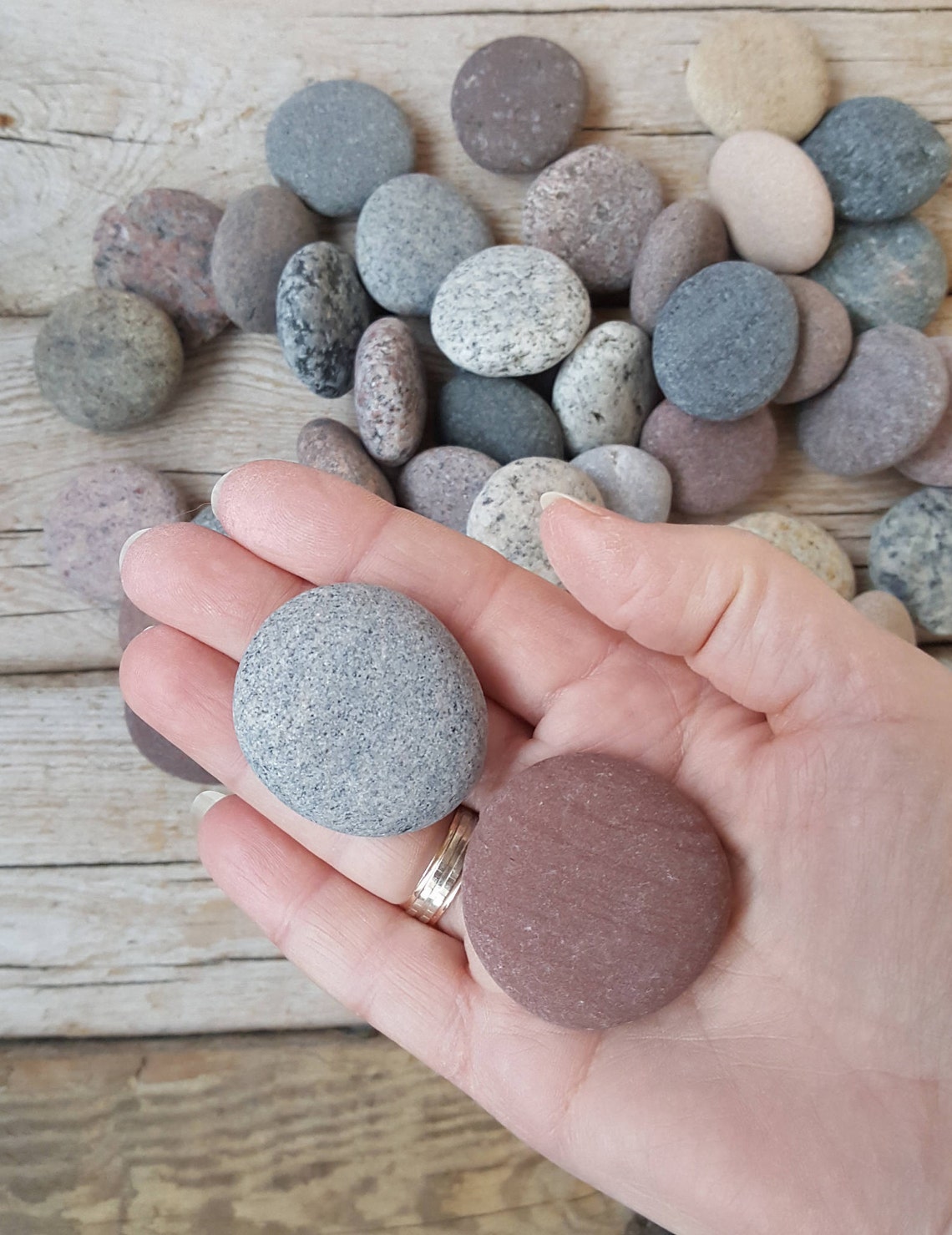 Round Sea Stones Medium Flat Stones 50 Pcs Medium Small - Etsy