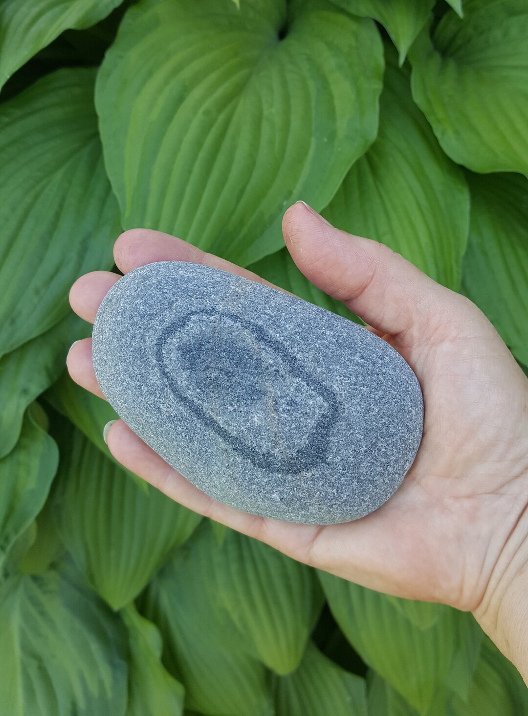 Extra Large Baltic Beach Stone-natural Sea Stone -genuine Beach Rock-4. ...