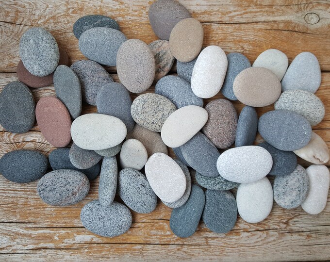 Oval Shaped Beach Rocks 50 Large Sea Stones Beach Stones - Etsy