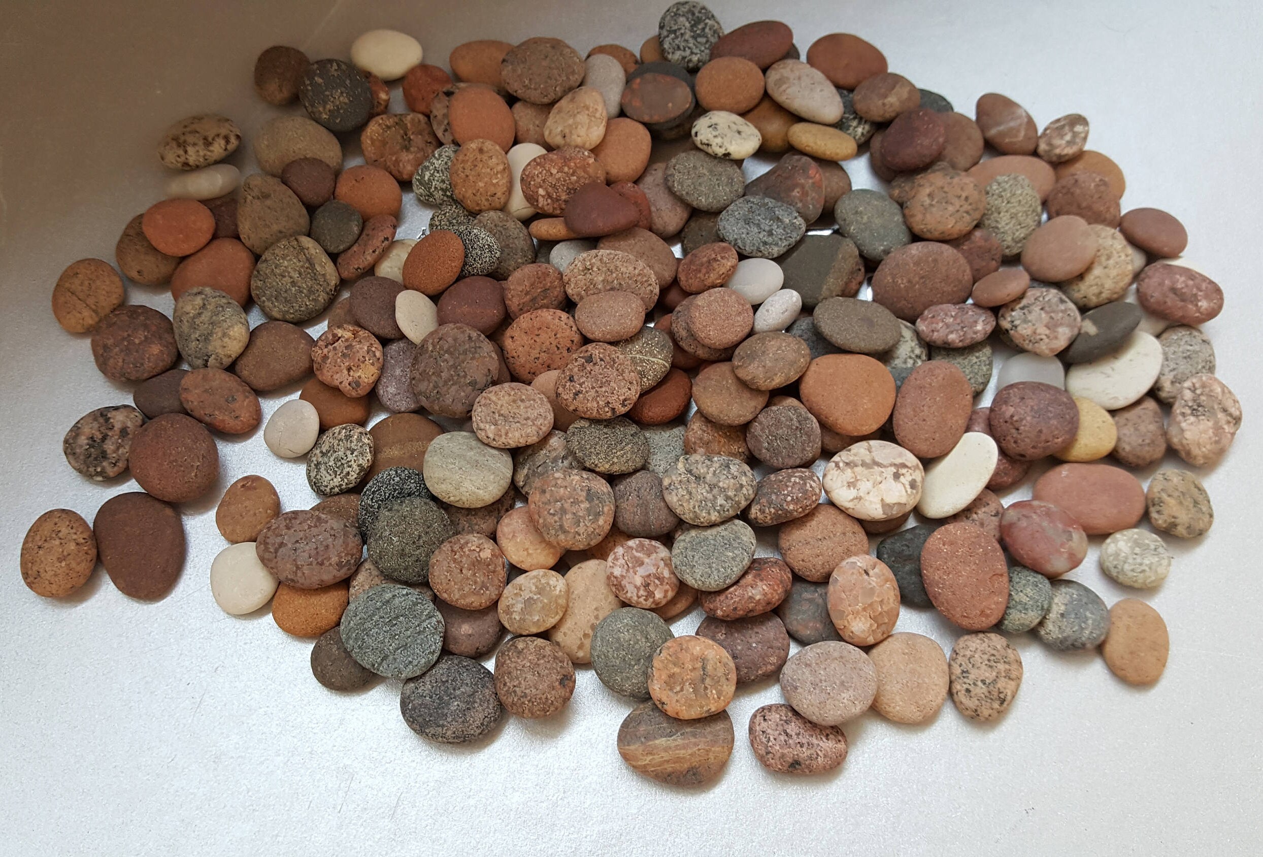 Round Sea Stones bulk 200 Pcs Small-baltic Beach Stones-sea - Etsy