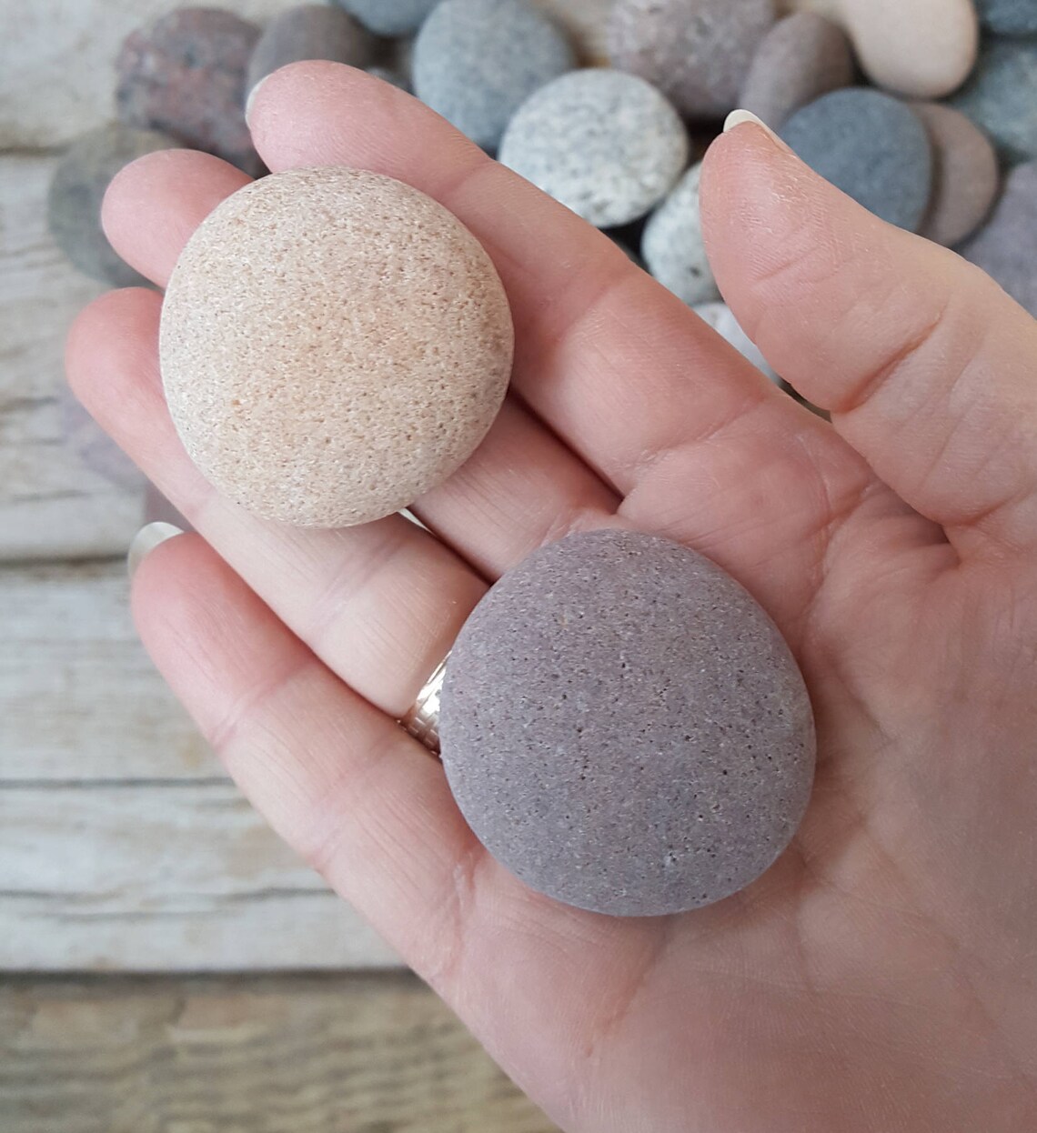 Round Sea Stones Medium Flat Stones 50 Pcs Medium Small - Etsy