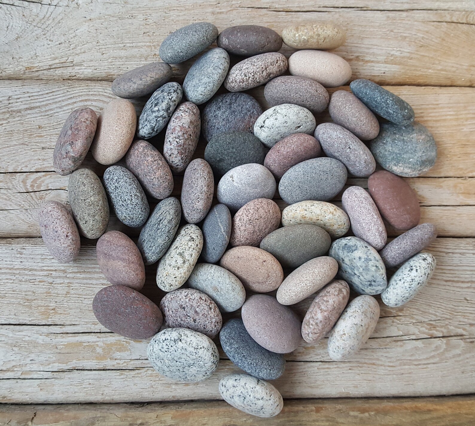 Round Sea Stones Medium Flat Stones 50 Pcs Medium Small - Etsy