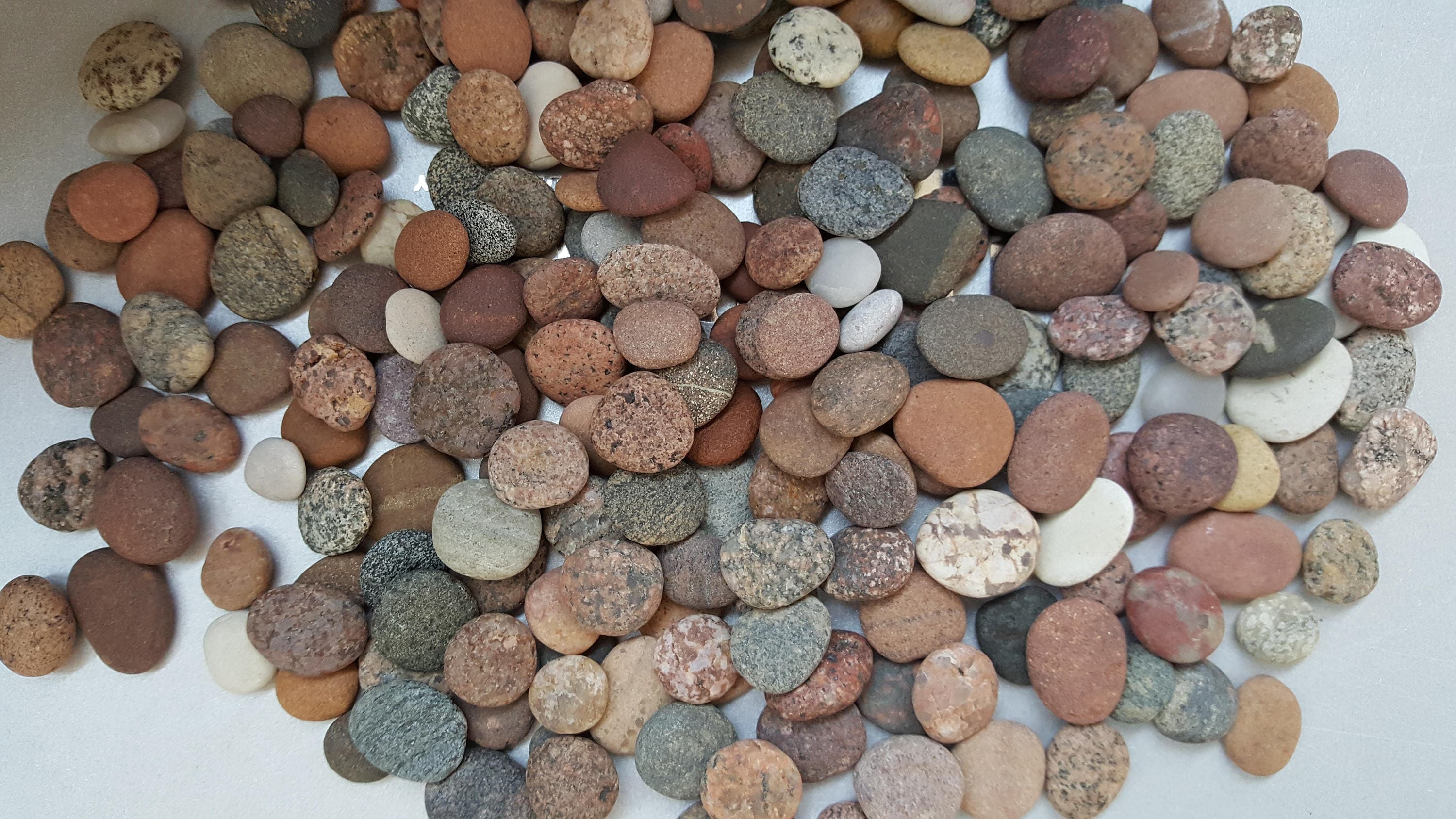 Round Sea Stones bulk 200 Pcs Small-baltic Beach Stones-sea - Etsy