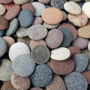 Round Sea Stones -bulk 100 Pcs Small-baltic Beach Stones-sea Pebbles ...