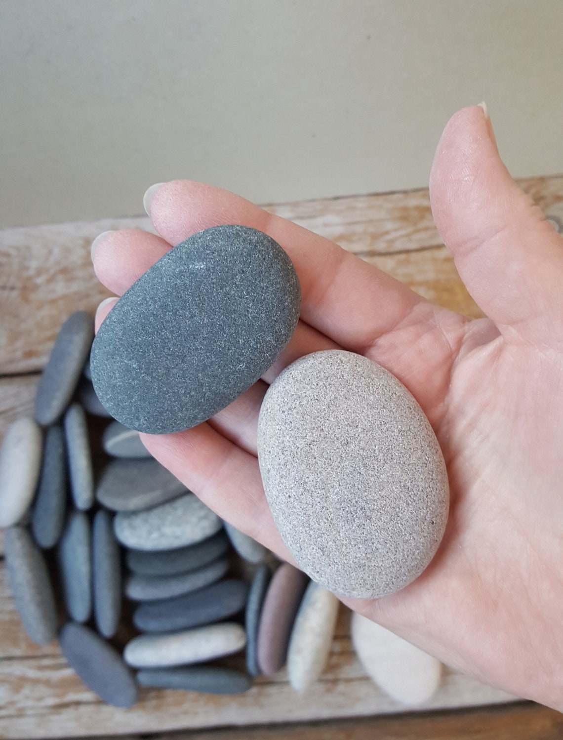 Oval Shaped Beach Rocks 35 Large Sea Stones Beach Stones | Etsy